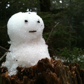 chipoko｜広島の育児情報 pikabu (ピカブ)